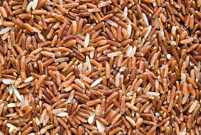 Brown rice stock photo. Image of crop, isolated, grain - 29363180
