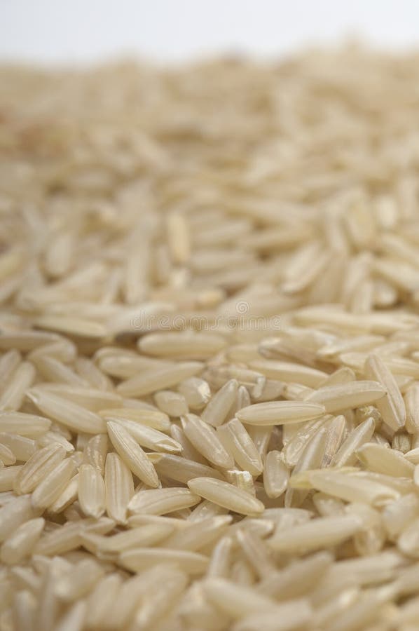 Brown Rice stock image. Image of organic, isolated, studio - 29661553