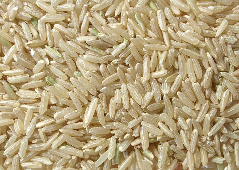 Brown Rice stock photo. Image of dried, crop, diet, food - 4919118