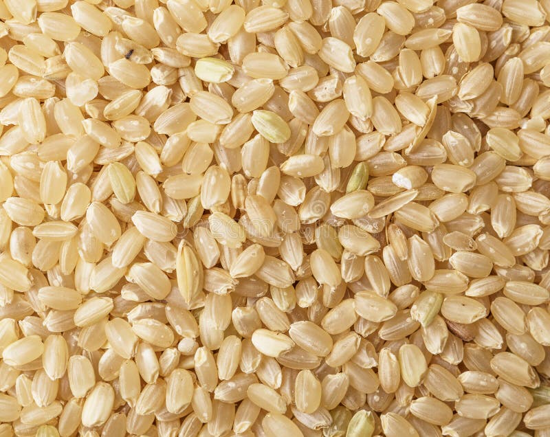 Brown rice background stock photo. Image of asian, organic - 33737506