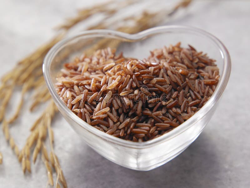 Brown rice stock image. Image of produce, cereal, closeup - 48625633