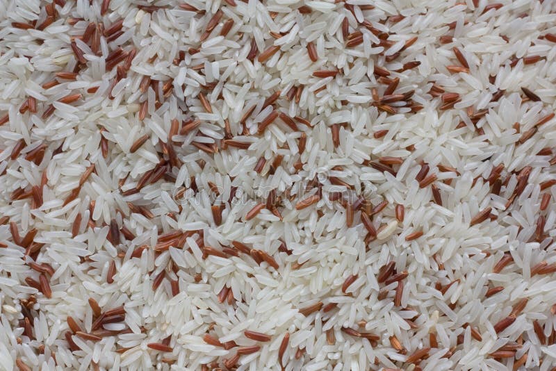 Brown rice stock image. Image of brown, organic, uncooked - 44935743