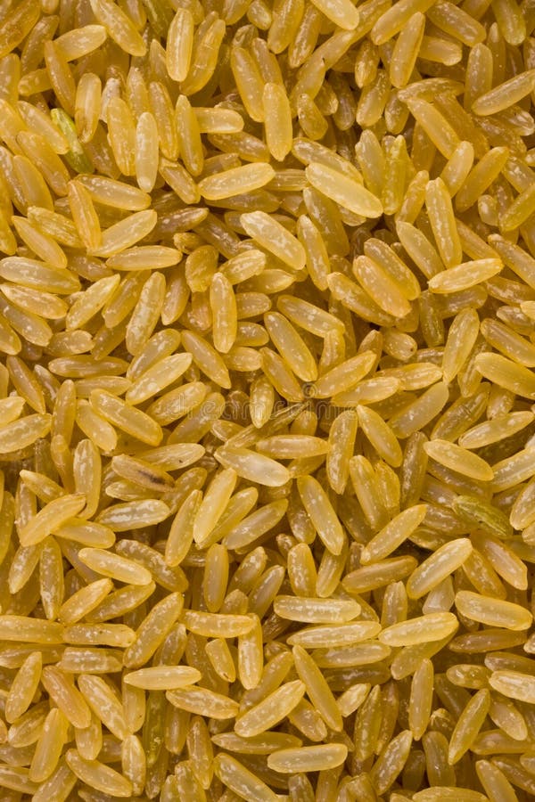 Brown rice closeup stock image. Image of food, brown - 12524179