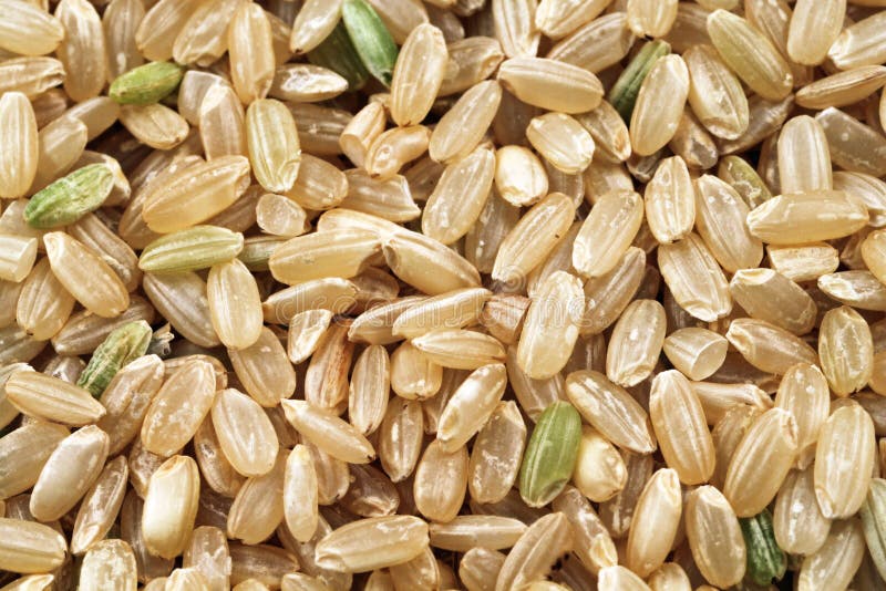 Macro Brown Rice stock image. Image of food, cereal, plant - 9456877
