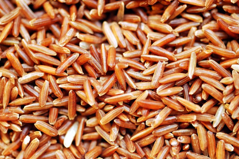 Brown Rice grains stock image. Image of pattern, grain - 537857