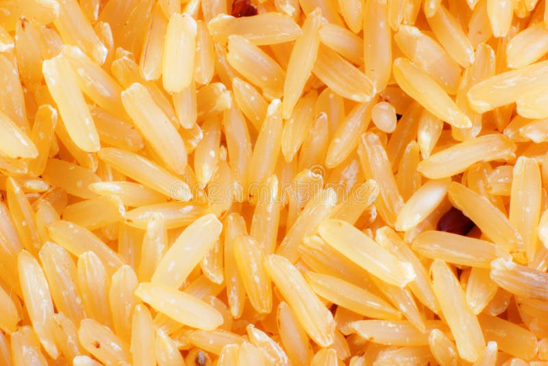Brown Rice is the Healthy Choice Stock Photo - Image of eating, field ...