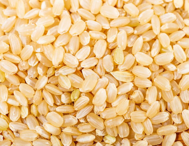 Brown rice stock photo. Image of cereal, chinese, grain - 33033836