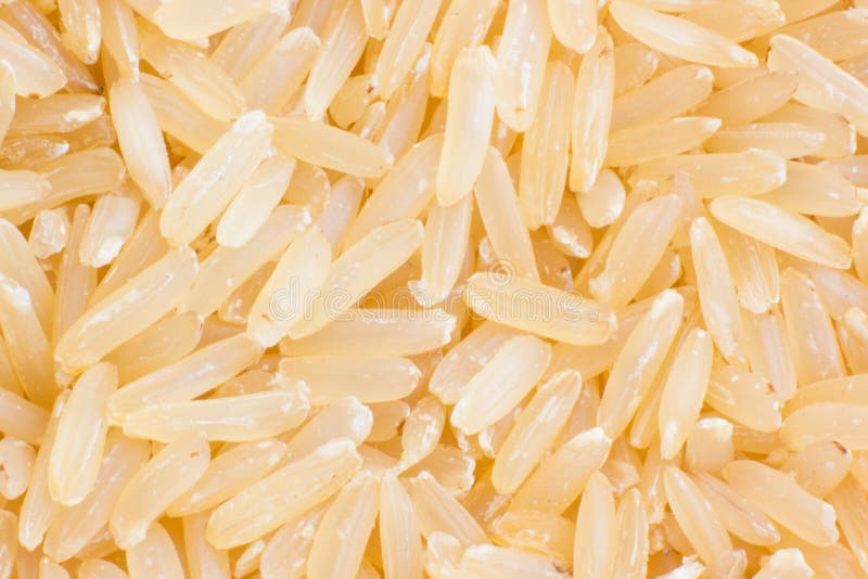 Brown rice stock photo. Image of cleaned, life, gold - 49457770