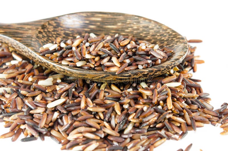 Brown Rice stock image. Image of asia, meal, grain, rice - 46031373