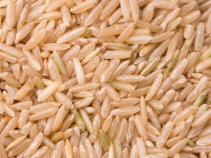 Brown rice stock image. Image of long, rice, bunch, eating - 35207701