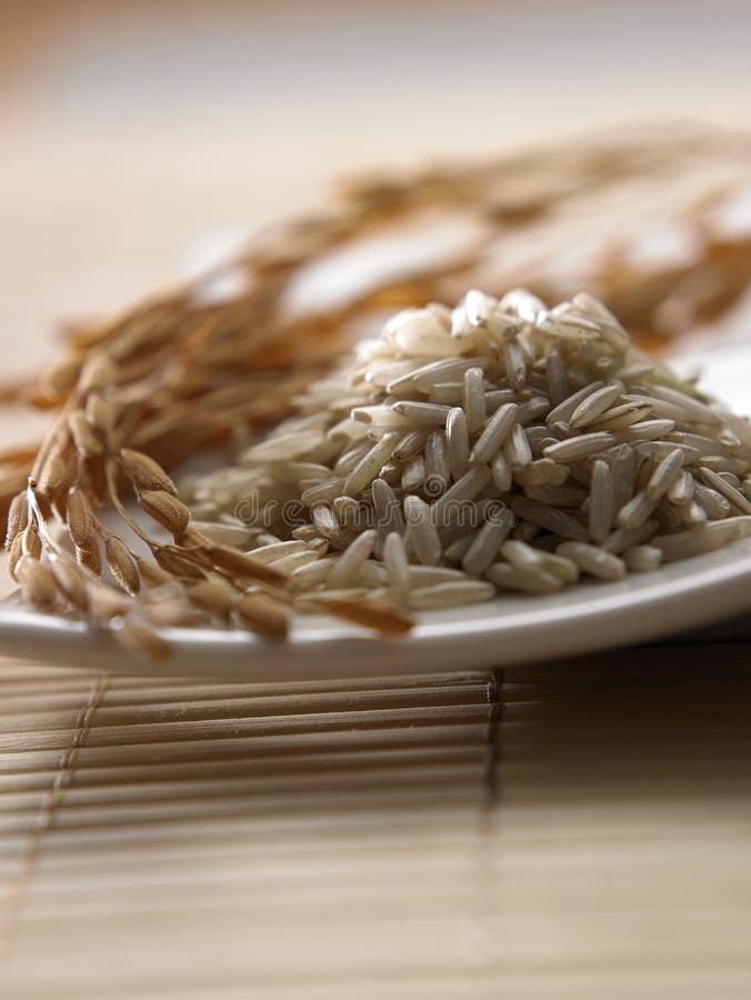 Brown rice and paddy stock image. Image of plant, cereal - 48625711