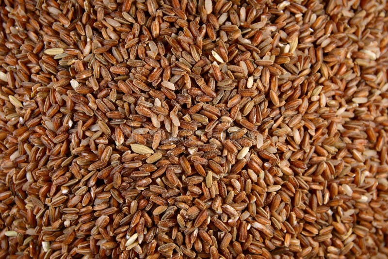 Brown Rice stock photo. Image of wheat, brown, rice, lean - 33493090