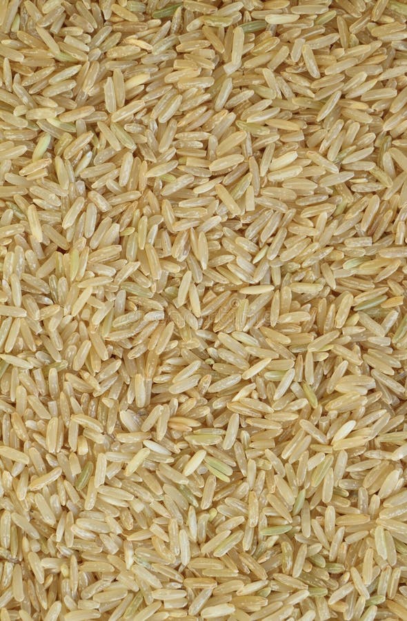 Brown rice seeds stock image. Image of details, harvest - 27035615