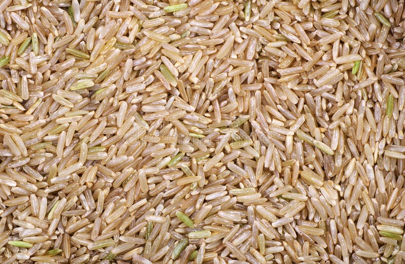 Rice Texture Background Close-up. Wild Brown Rice. Stock Image - Image ...