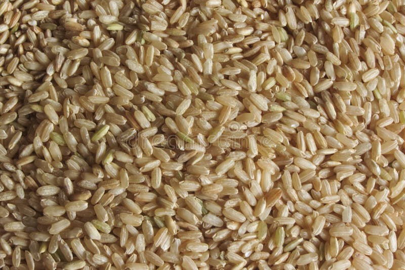 Brown rice texture stock image. Image of white, india - 50221365