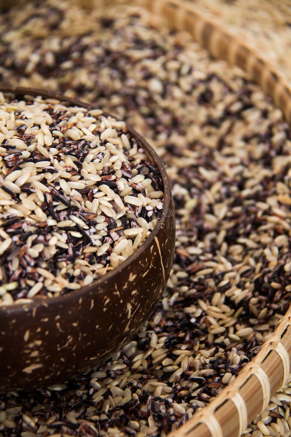 Brown rice stock photo. Image of brown, asia, agriculture - 61733094