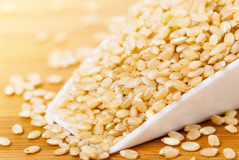 Brown rice stock image. Image of thailand, rice, grain - 33034225