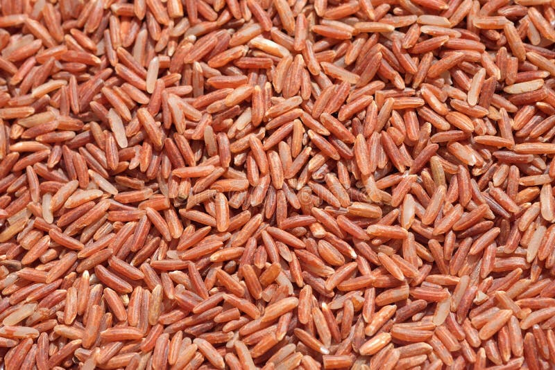 Brown Rice Uncooked Grains Background. Stock Photo - Image of ...