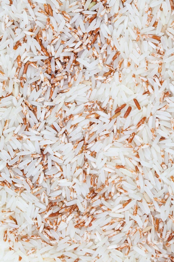 Brown Rice Uncooked Raw Cereals, Macro Closeup Stock Image - Image of ...