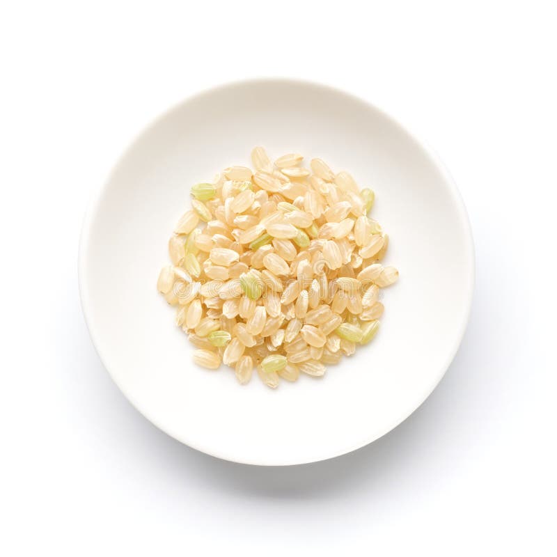Brown rice stock photo. Image of brown, unpolished, subsp - 49409074