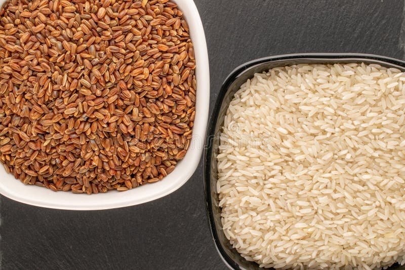 Brown and White Rice with Homemade Dishes, Macro, Isolated on White ...