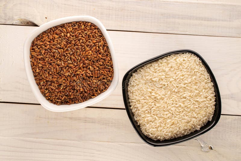 Brown and White Rice with Homemade Dishes, Macro, Isolated on White ...