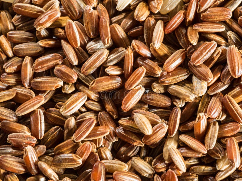Brown Rice - Whole Grain Rice with Outer Hull or Husk. Close-up Stock ...