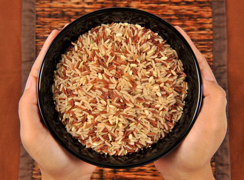 Brown Rice stock image. Image of grains, rice, brown - 44913277
