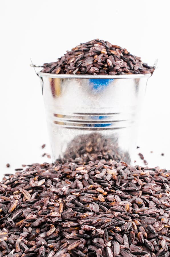 Brown Rice with Zinc Bucket Stock Image - Image of culture, cereal ...