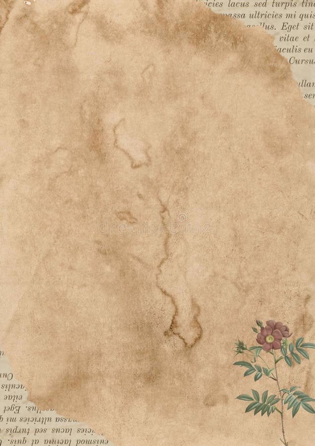 Brown Ripped Paper Notes - 18 Stock Illustration - Illustration of ...