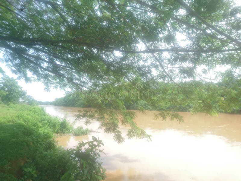 Brown river stock photo. Image of perak, brown, river - 161030460