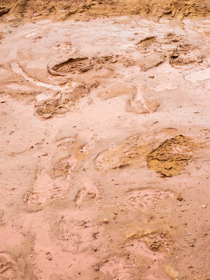 Brown Road Dirt With Footprints Stock Image - Image of path, route ...