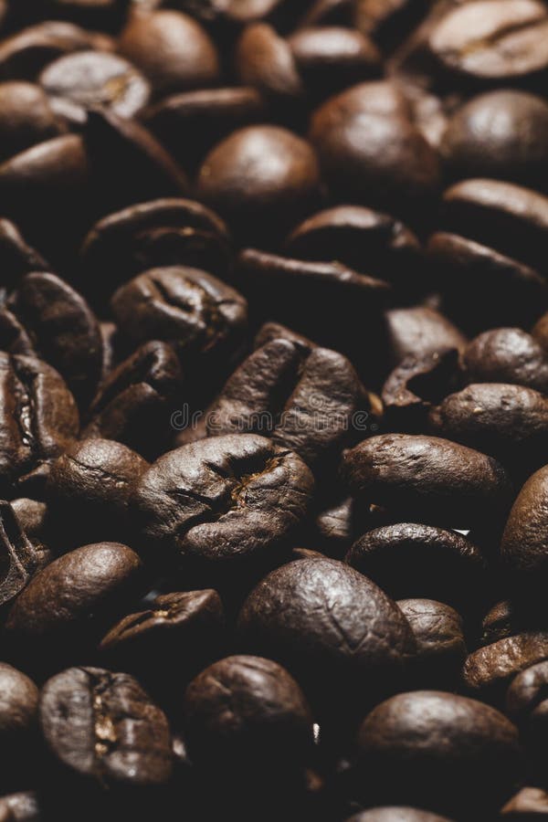 Roasted Arabica Coffee Beans Isolated on White Background. Group of ...