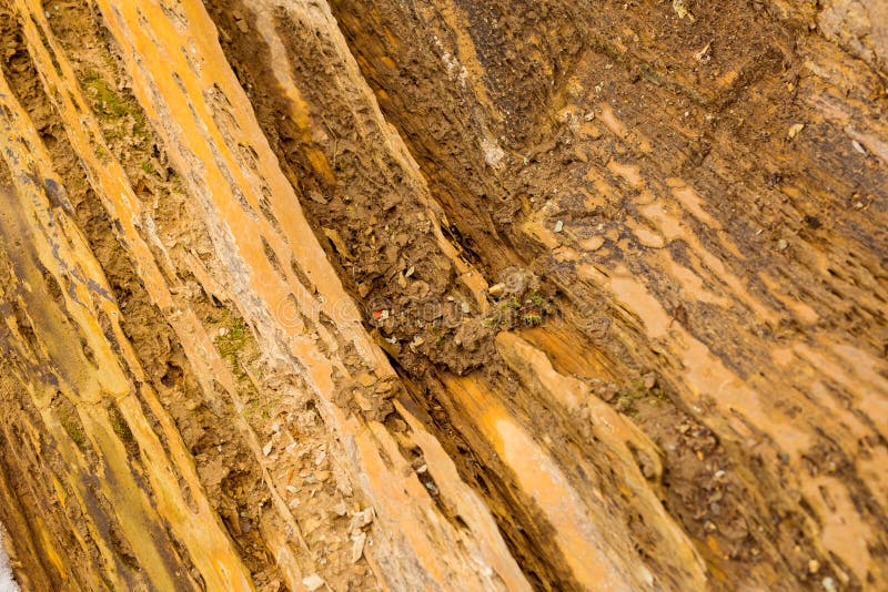 Brown rock closeup stock photo. Image of natural, earth - 256126124