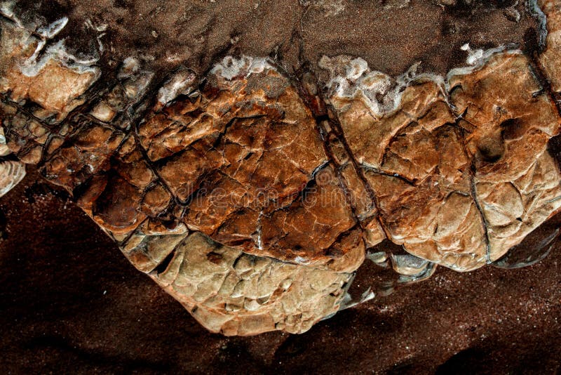 Brown Rock Stone Texture Isolated and Huge Collection of Granite Stones ...