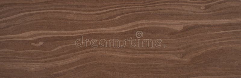 Brown Root Exotic Wood Background Stock Photo - Image of brown ...