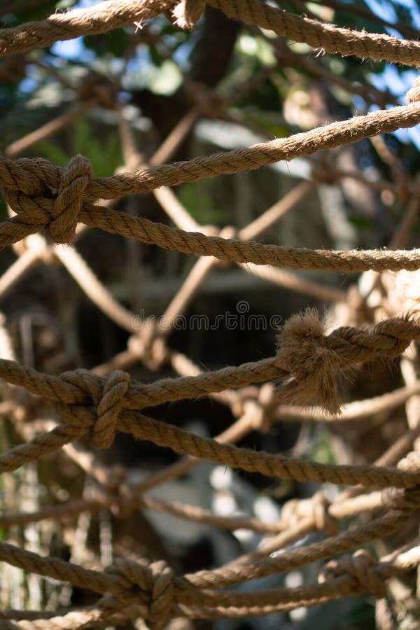 Brown Ropes Decorative Net Background Stock Photo - Image of idea ...