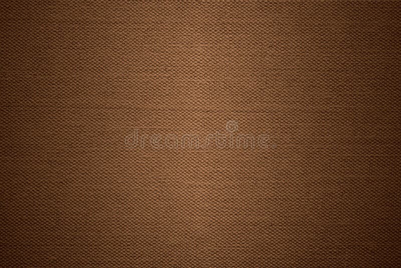 A Rough Pattern of the Old Bark of a Coniferous Tree Stock Photo ...