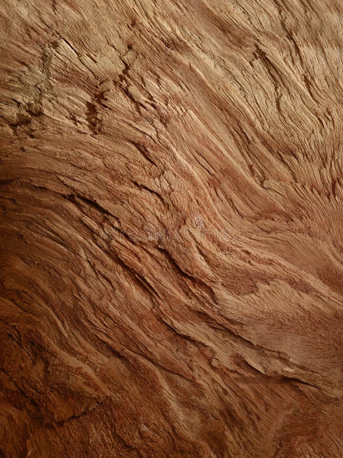 Brown Rough Split Wood Grain Stock Image - Image of board, dead: 100026553