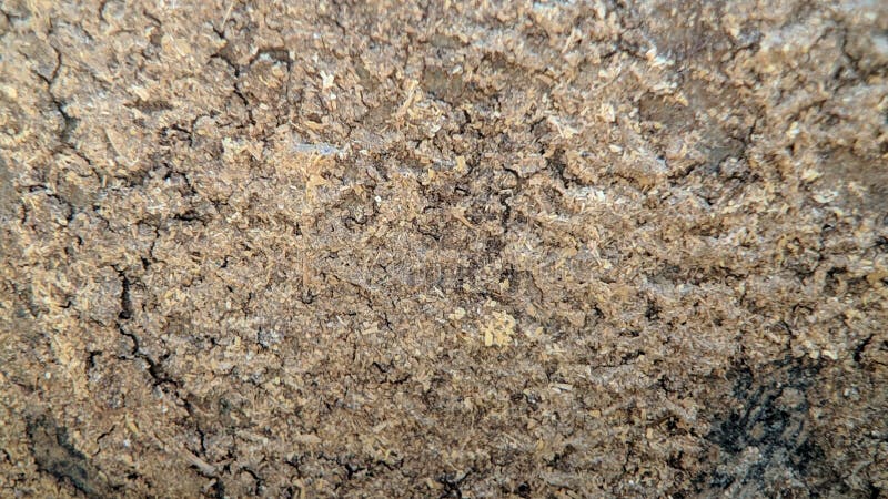 Brown Rough Texture Background and Wallpaper Stock Photo - Image of ...