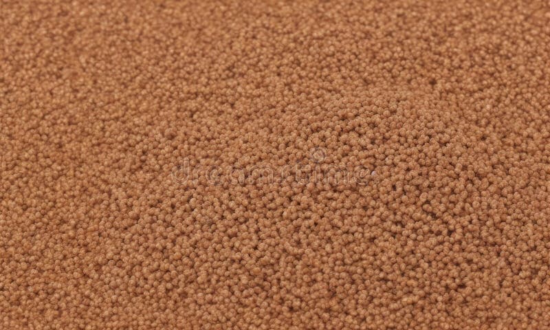 Brown, Round Seeds in the Form of a Background Stock Illustration ...