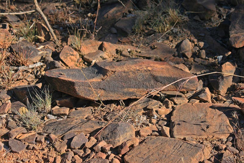 LOOSE ROCKS and STONES in NATURE Stock Photo - Image of nature, plant ...