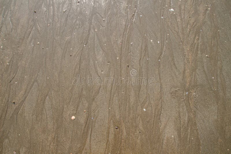 Brown Sand on the Beach Texture. Stock Image - Image of color, pattern ...