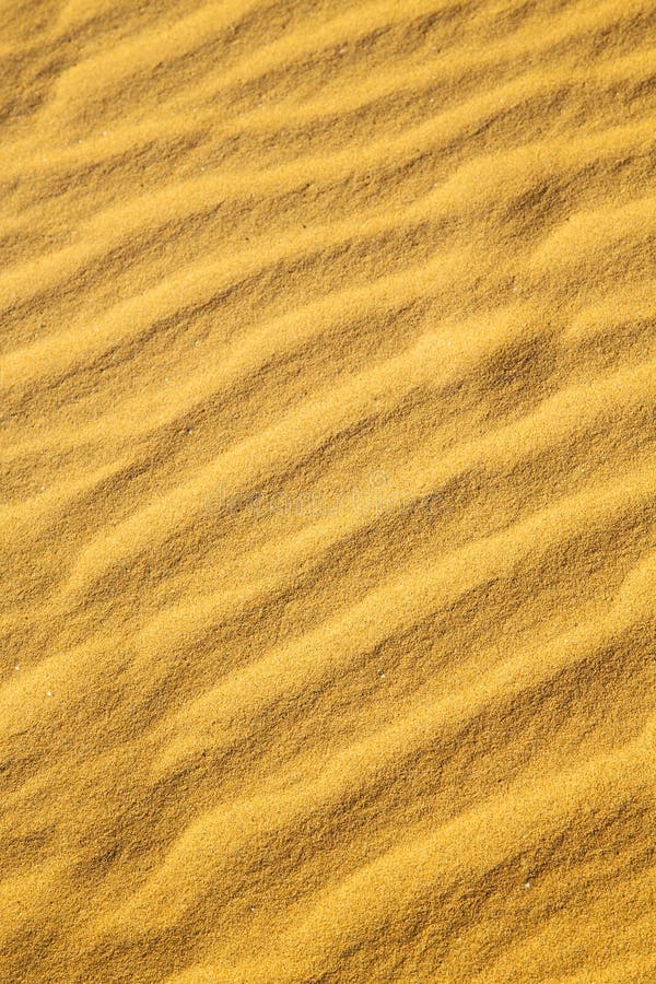 The brown sand stock photo. Image of hill, abstract, empty - 60295066