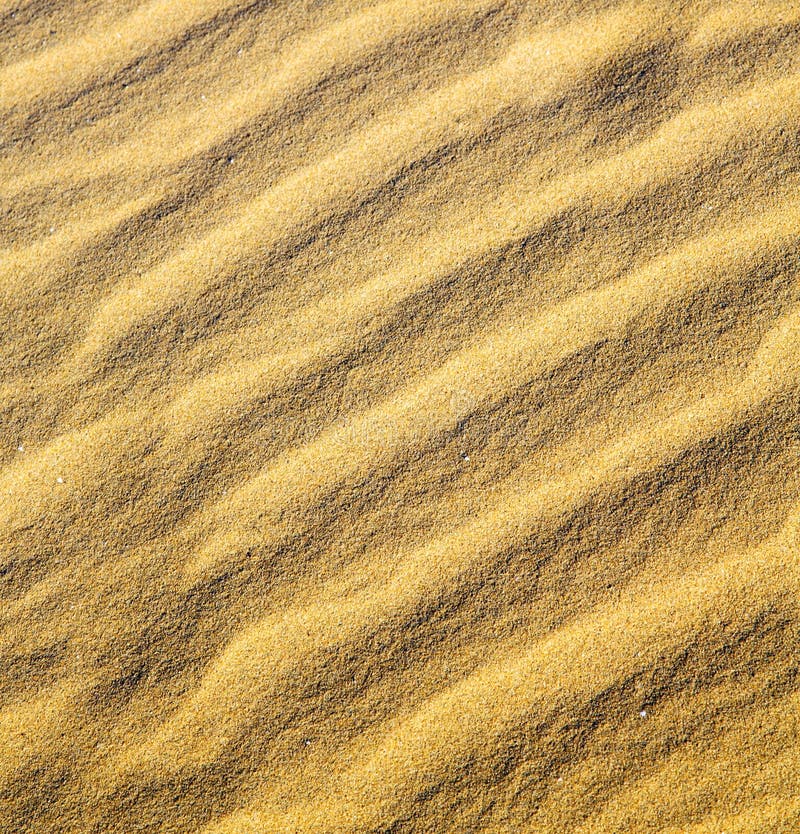 The Brown Sand Dune in the Sahara Morocco Desert Stock Image - Image of ...