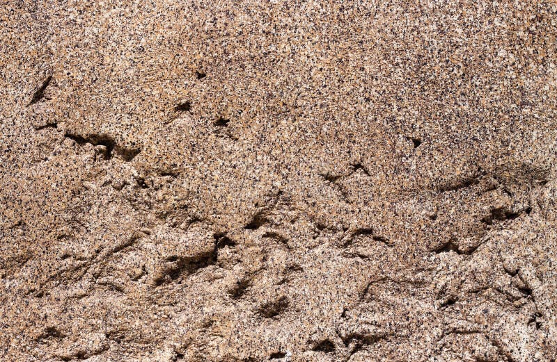 8K Sand Roughness Texture, Height Map or Specular for Imperfection Map ...