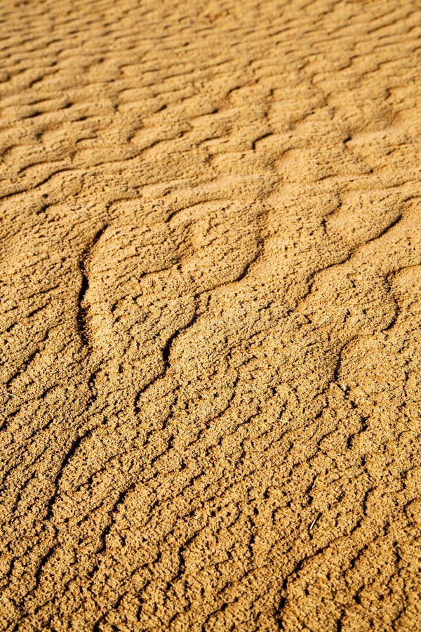 Brown Sand in the Sahara Morocco Desert Stock Image - Image of lonely ...