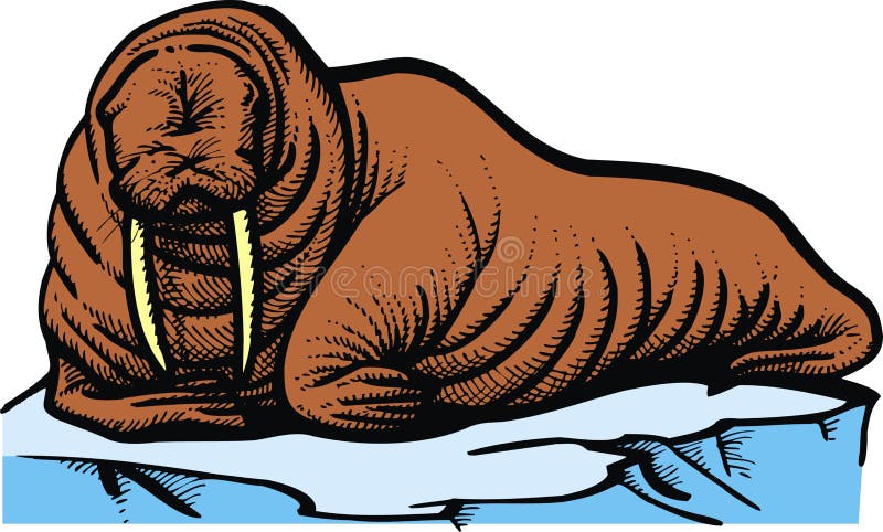 Brown sea cow stock vector. Illustration of alone, calf - 70827650