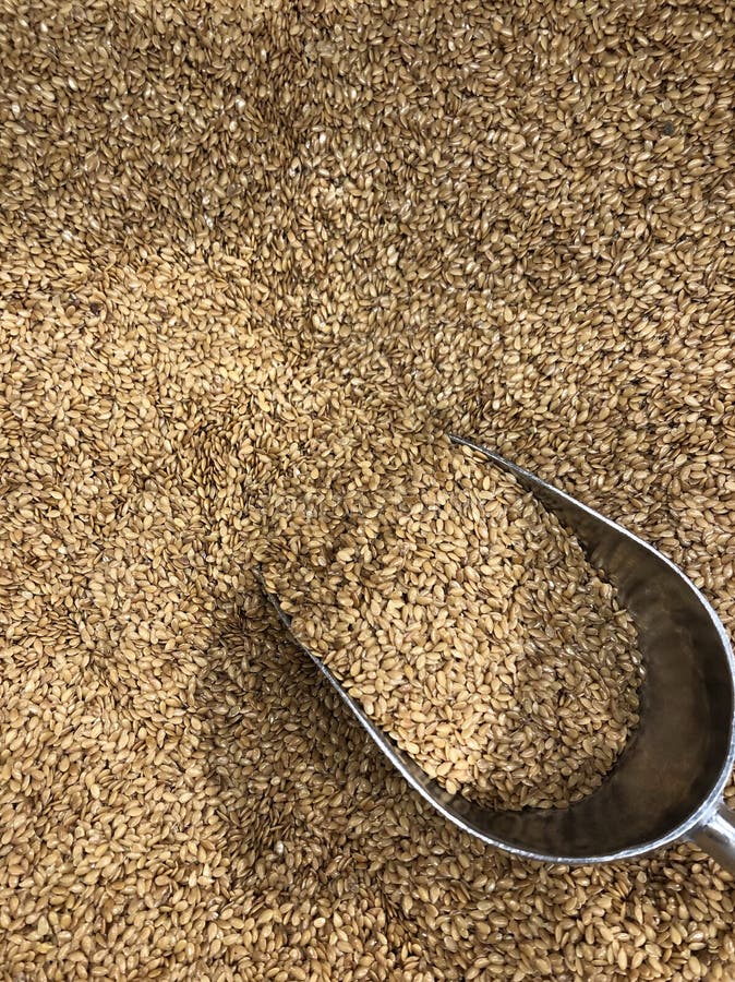 Brown seeds stock image. Image of pile, trailmix, ingredients - 130136737