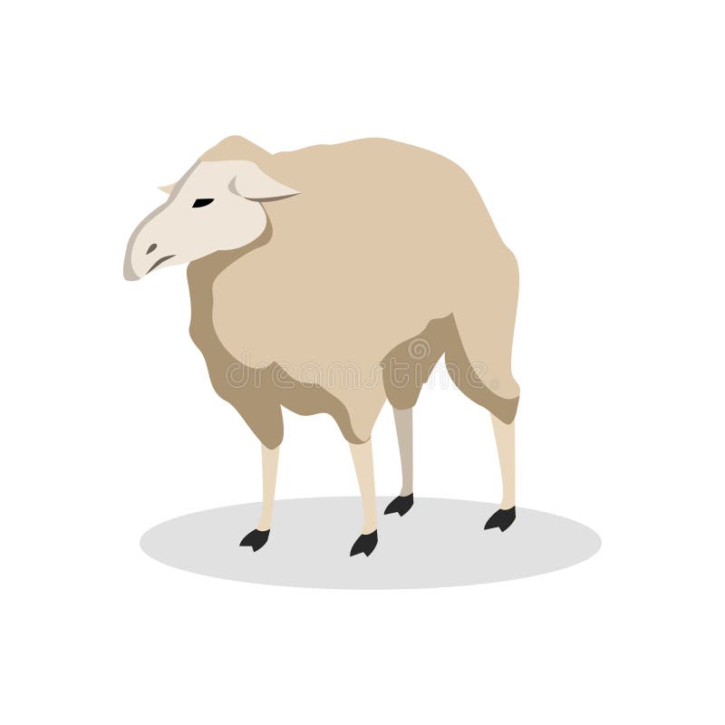 Brown Color Sheep Stock Illustrations – 613 Brown Color Sheep Stock ...